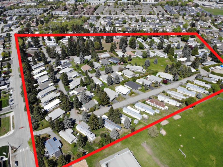 Outlined - Steve Laursen